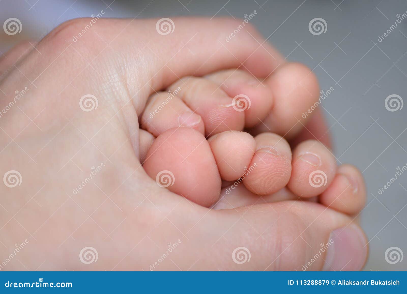 The Hand Holds the Baby Toes Stock Image - Image of finger, hold: 113288879