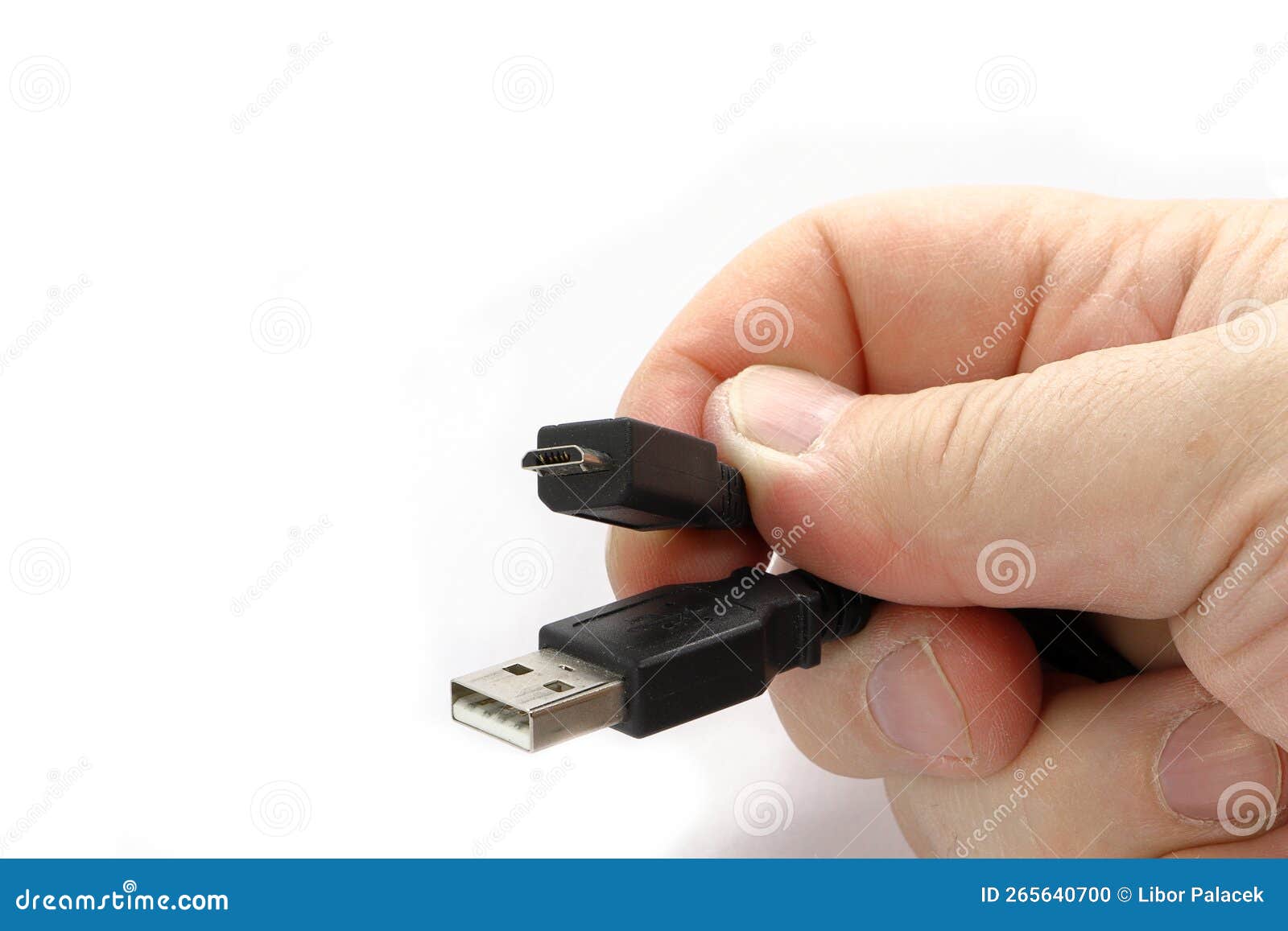 A Hand Holds a Cable with USB Connectors of Different Types. Stock ...