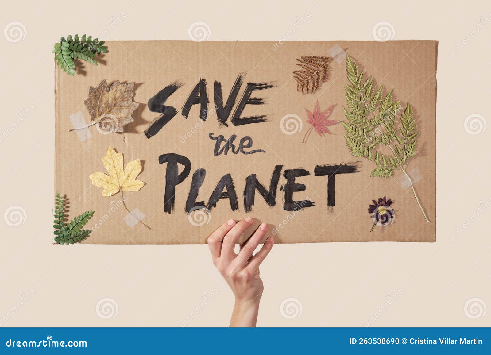 Hand Holds a Cardboard with an Inscription: Save the Planet. Stock ...