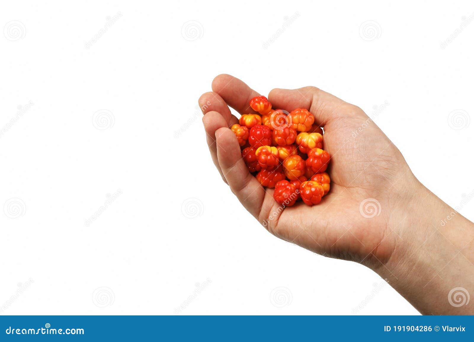 Hand Holds a Handful of Berries Cloudberry Stock Photo - Image of ...