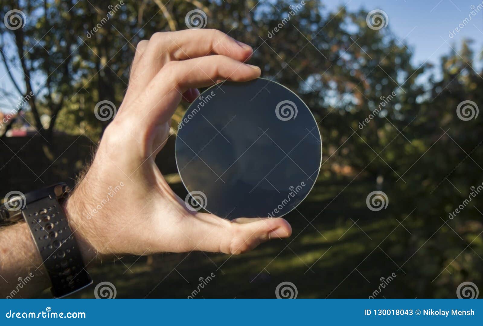 Hand Holds a Lens on a Background of Trees Stock Image - Image of ...