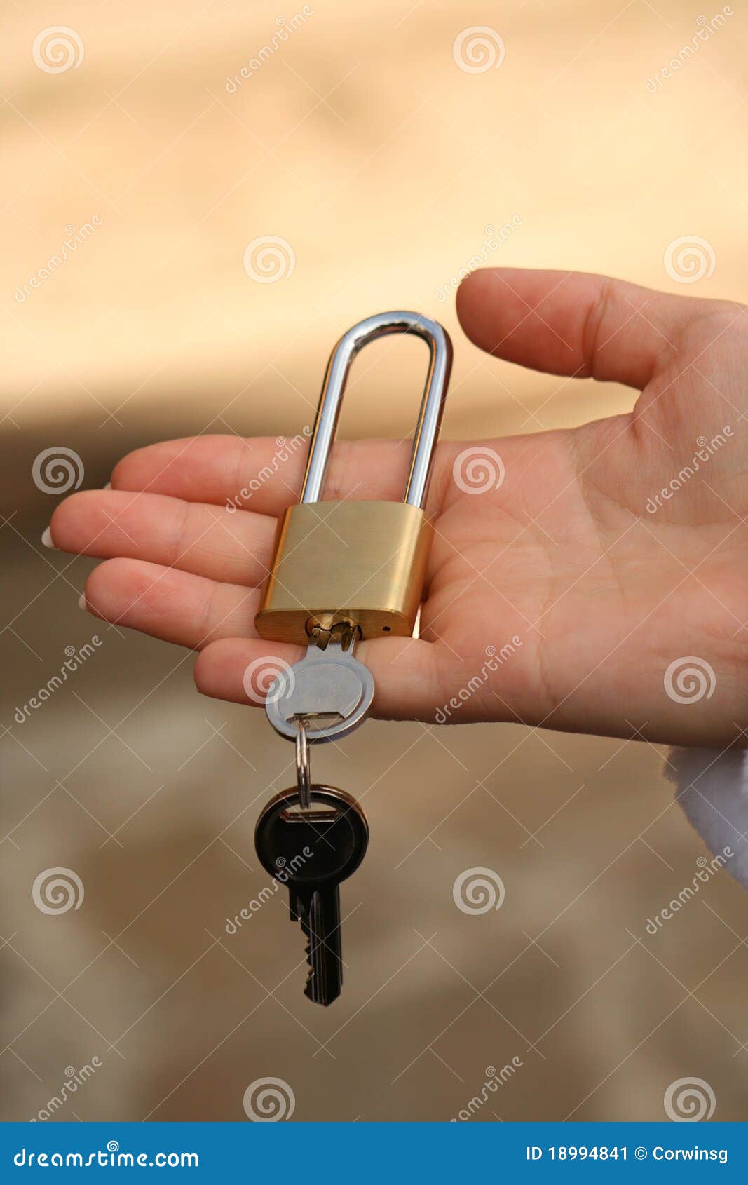 Hand holds lock. stock image. Image of safety, hold, protect - 18994841