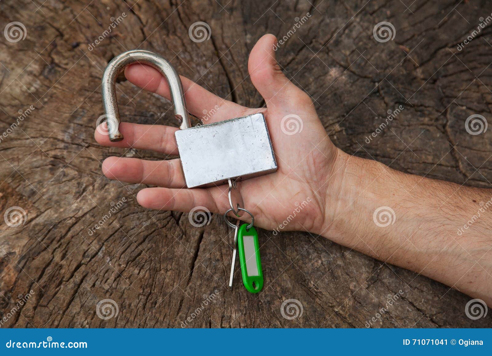 Hand Holds a Lock on the Stump Stock Image - Image of lock, hand: 71071041