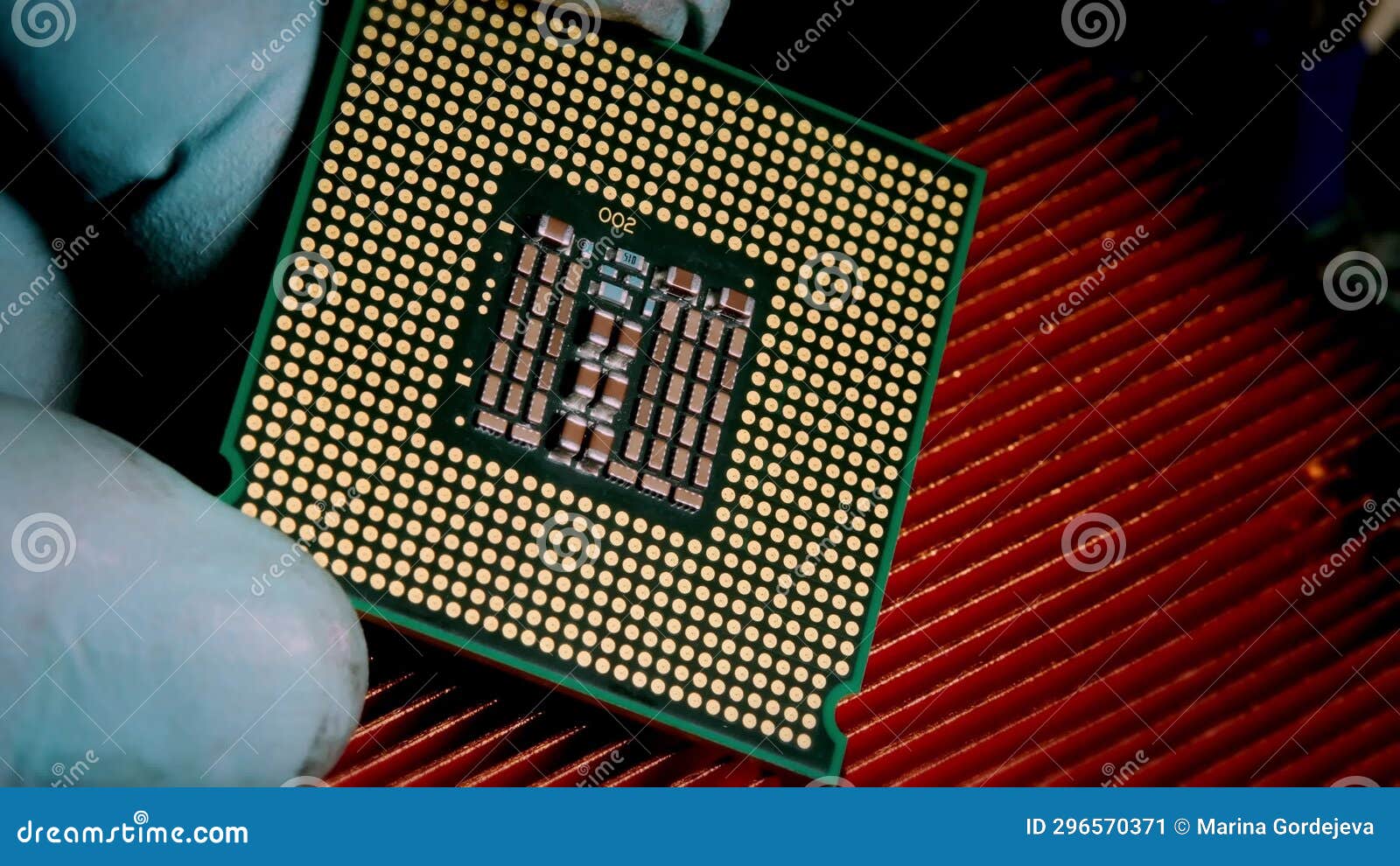 The Hand Holds the Processor in Front of the Processor Slot. Processor ...