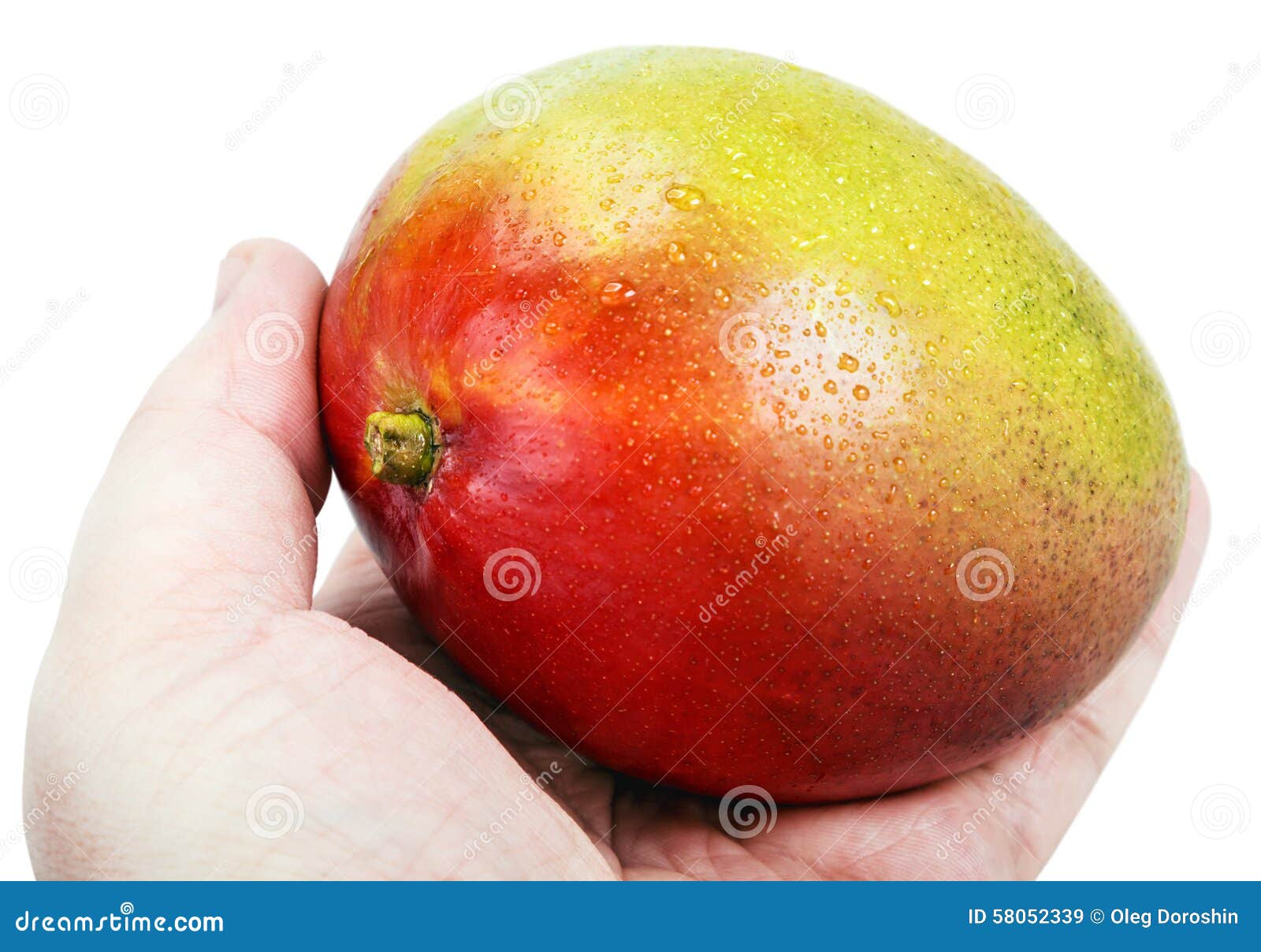 Hand holds a ripe mango stock image. Image of ripe, holding - 58052339