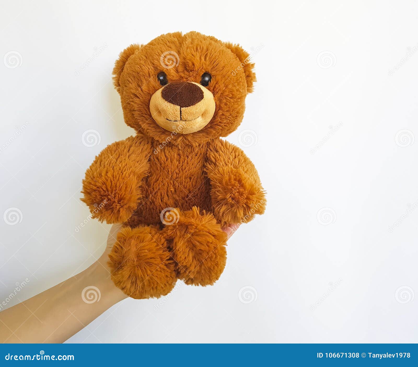 Hand Holds a Teddy Bear Toy Isolated Stuffed Stock Photo - Image of ...
