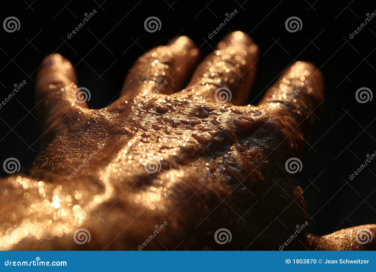 Hand horror stock photo. Image of drop, reflect, sign - 1803870