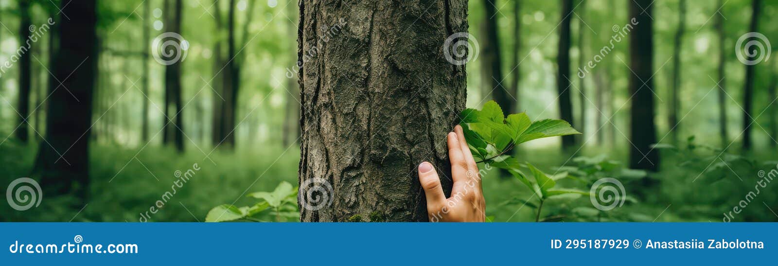 Hand Hugging the Broad Trunk of Tree with Green Vegetation in the Woods ...