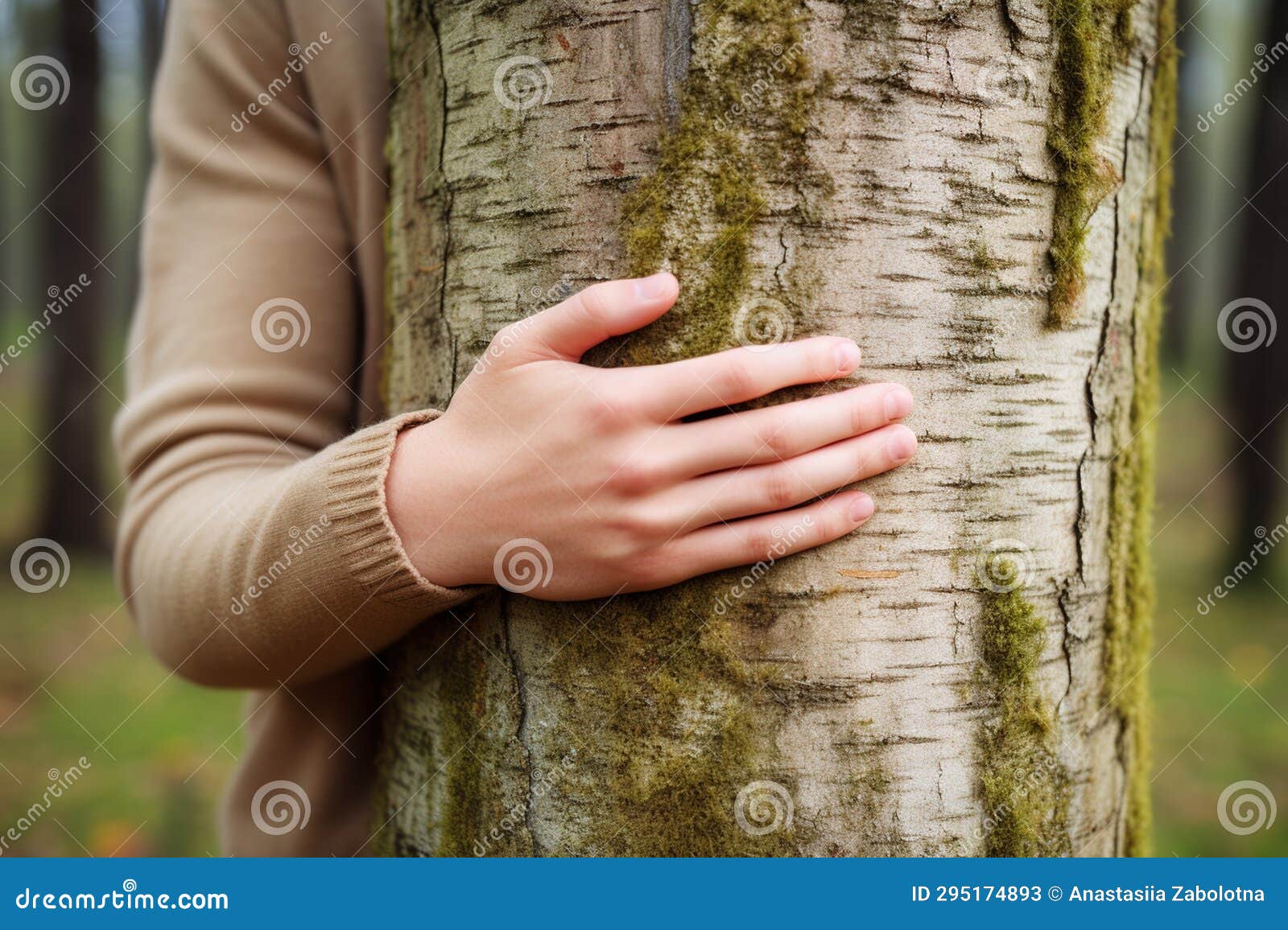Hand Hugs Tree Trunk stock illustration. Illustration of hugging ...