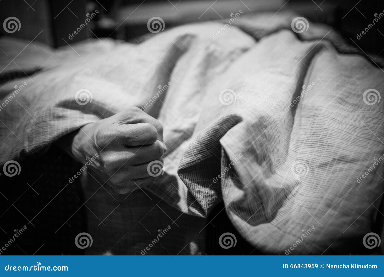 Hand of human stock image. Image of contrast, hand, blanket - 66843959
