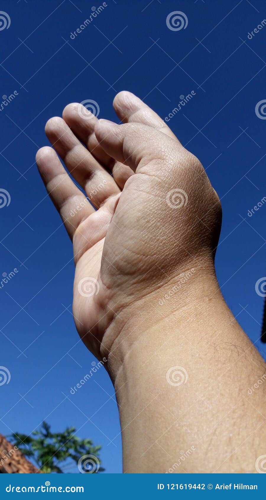 Hand stock photo. Image of blue, request, human, anatomy - 121619442