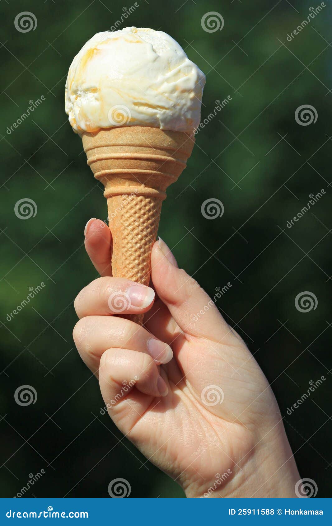 Hand with ice cream stock photo. Image of hold, summer - 25911588