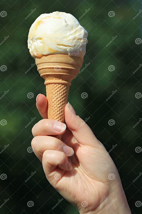 Hand with ice cream stock photo. Image of hold, summer - 25911588