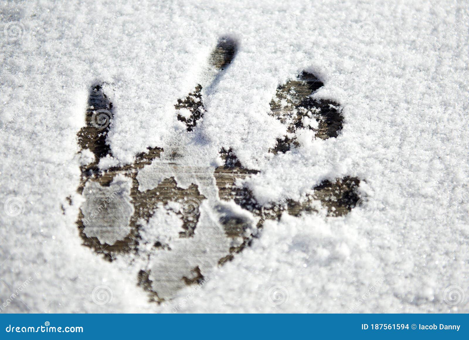 Hand Impression in Fresh Snow Stock Photo - Image of sign, pattern ...