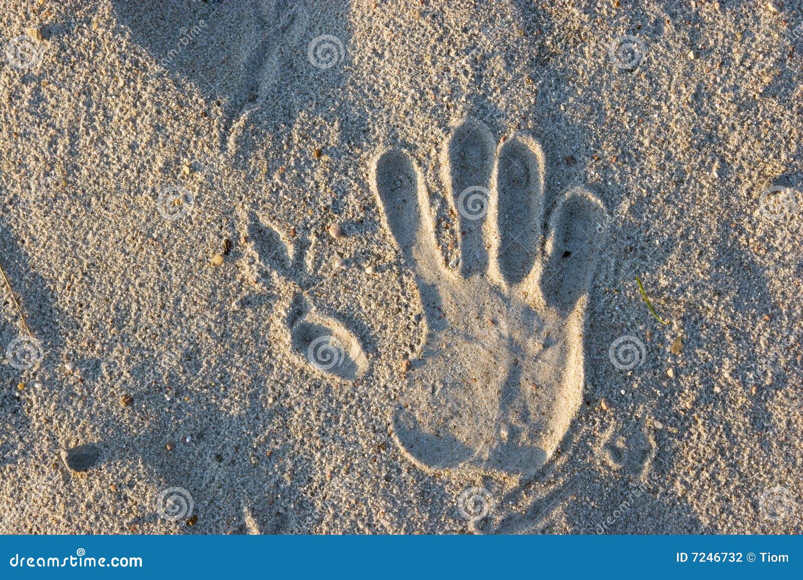 Hand imprint on sand stock photo. Image of travel, beach - 7246732