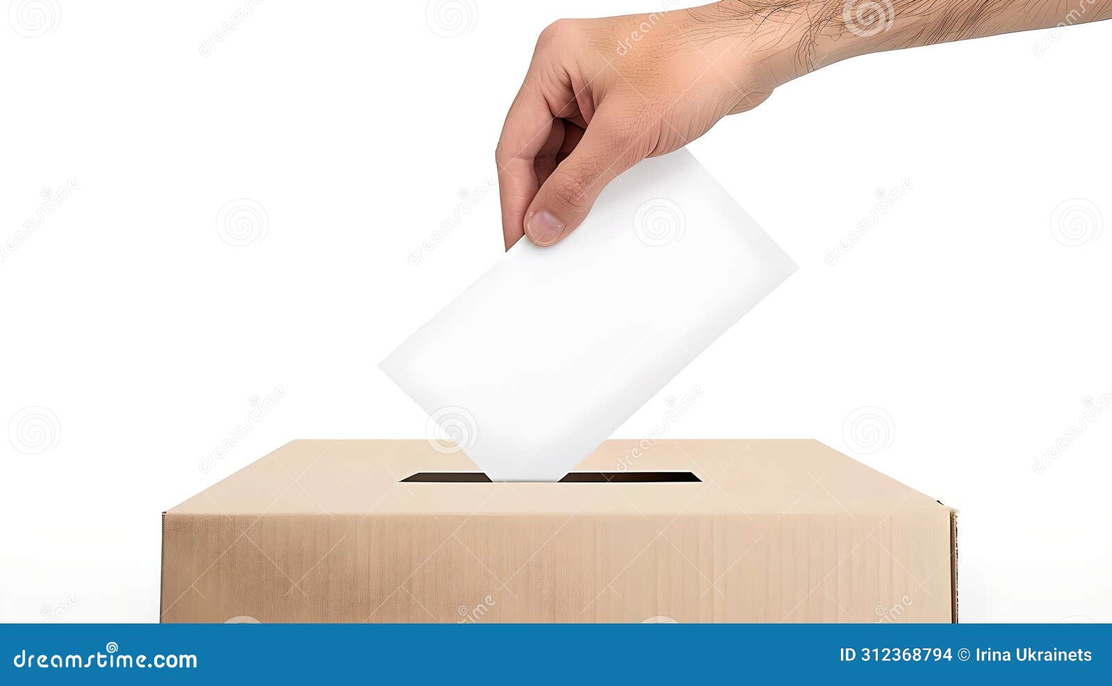 A Hand Inserting a Ballot into a Voting Box on a White Background ...