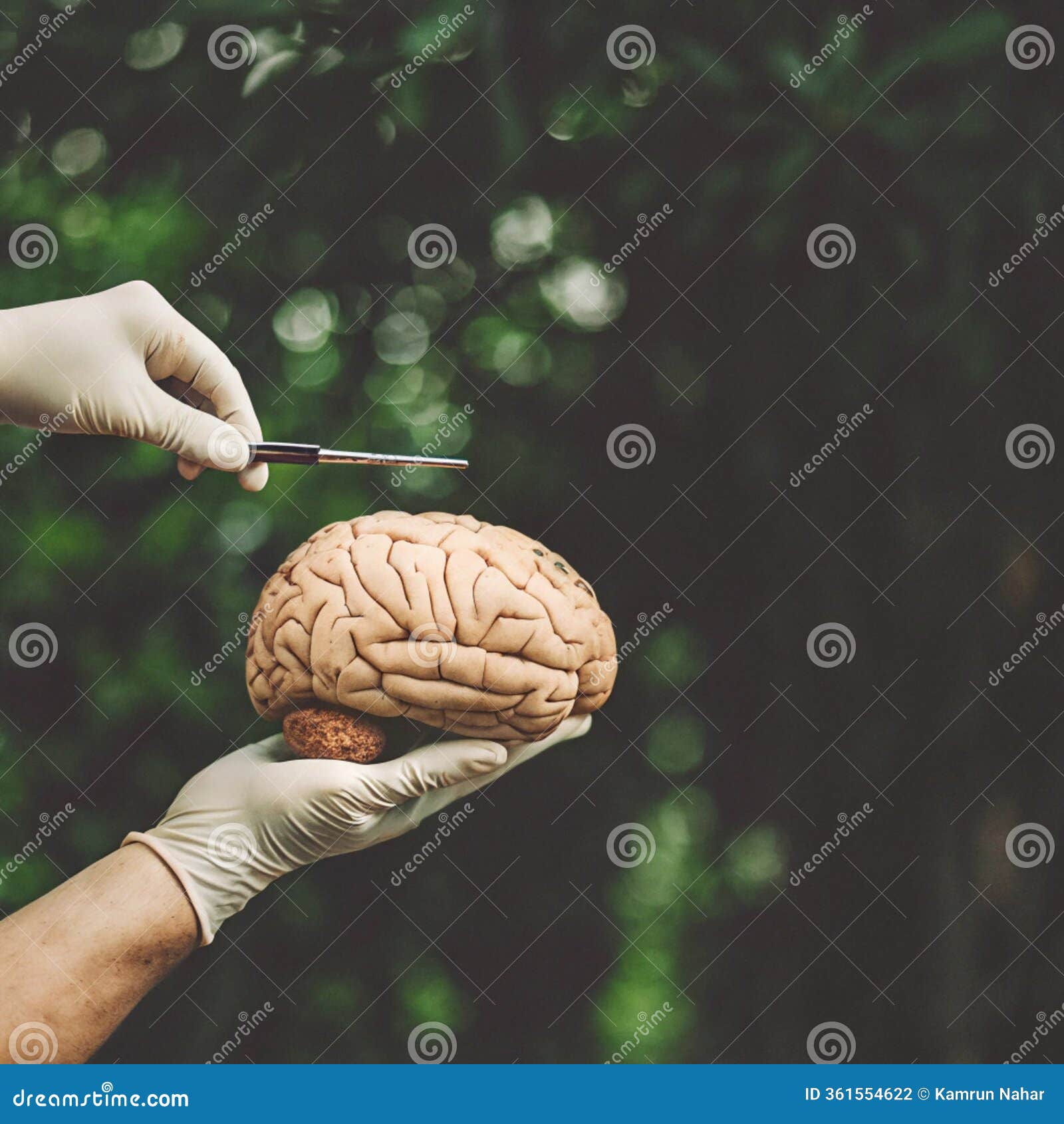 Hand Inserting a Microchip into the Brain Stock Illustration ...
