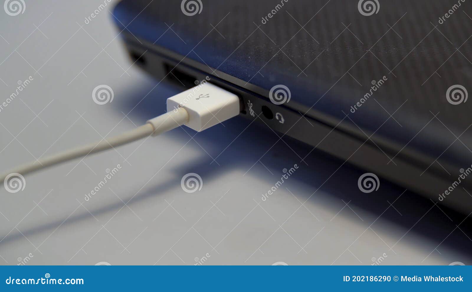 Hand Inserting White USB Cable into Laptop Isolated on White Background ...