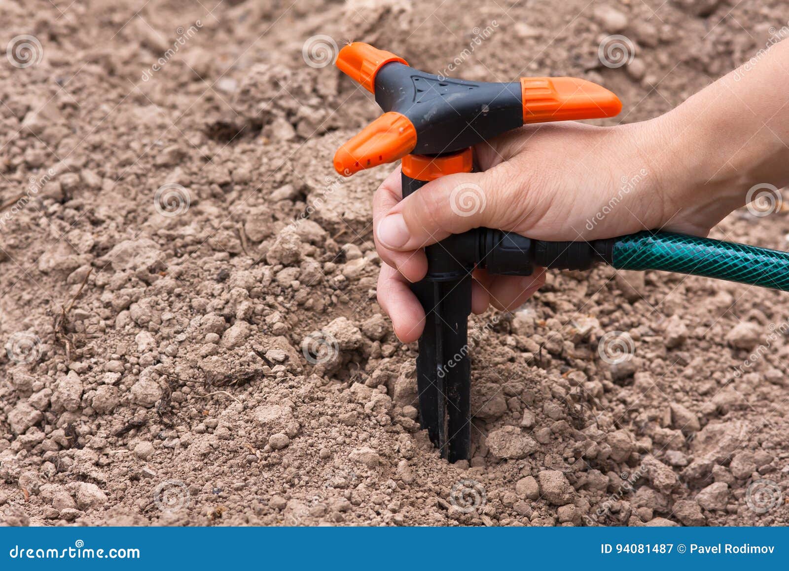 Hand Installing Sprinkler for Garden Irrigation Stock Image - Image of ...