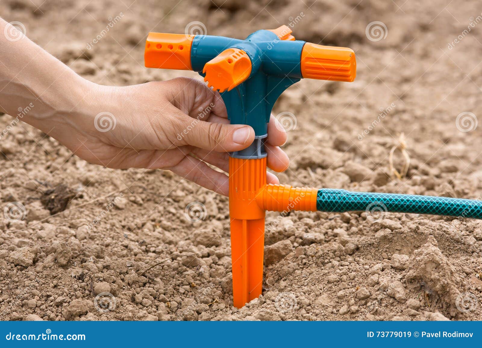 Hand Installing Sprinkler for Garden Irrigation Stock Image - Image of ...