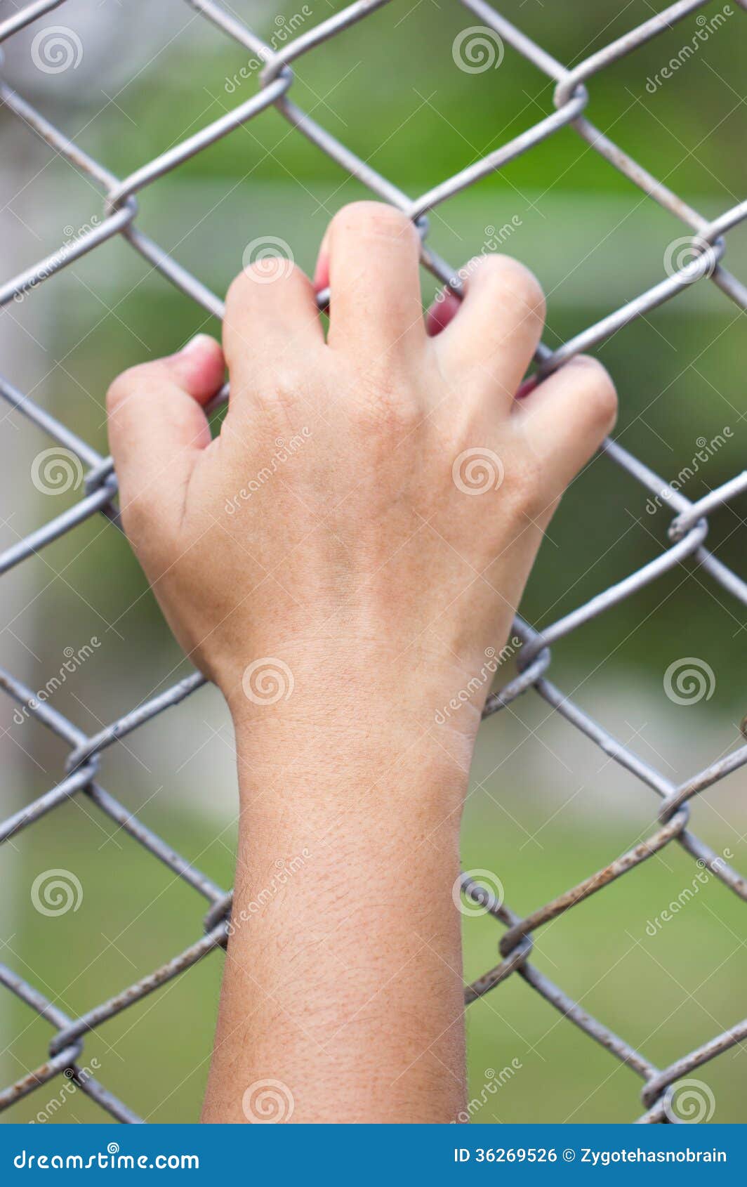 Hand with Iron Bar. stock photo. Image of border, people - 36269526