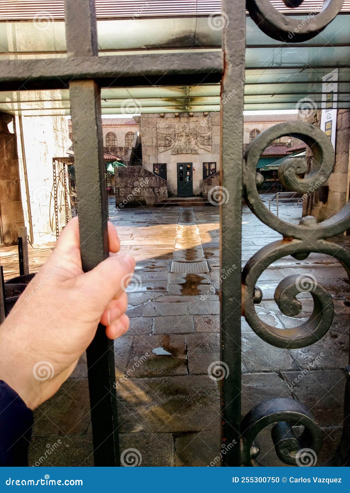 Hand on the iron gate stock photo. Image of gate, fence - 255300750