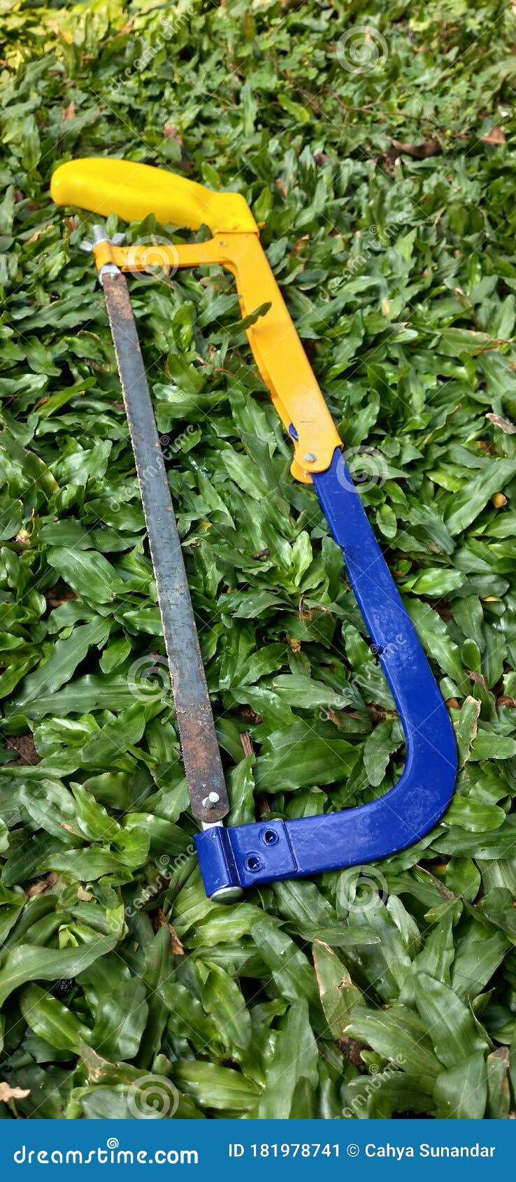 Hand iron saw stock image. Image of grass, flower, herb - 181978741