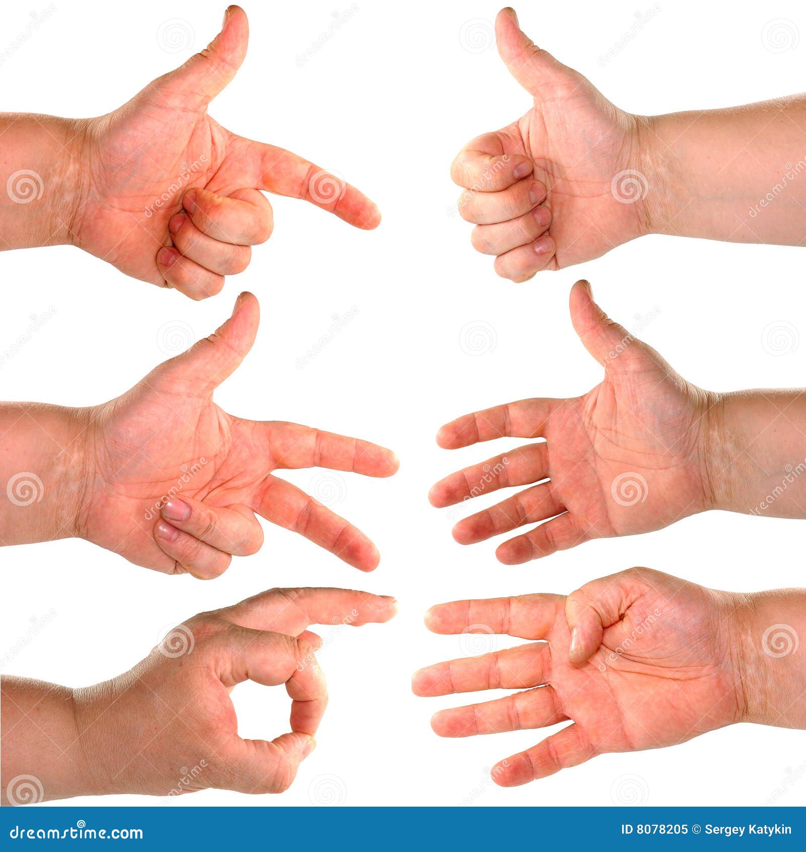 Hand isolated. stock image. Image of forearm, index, body - 8078205