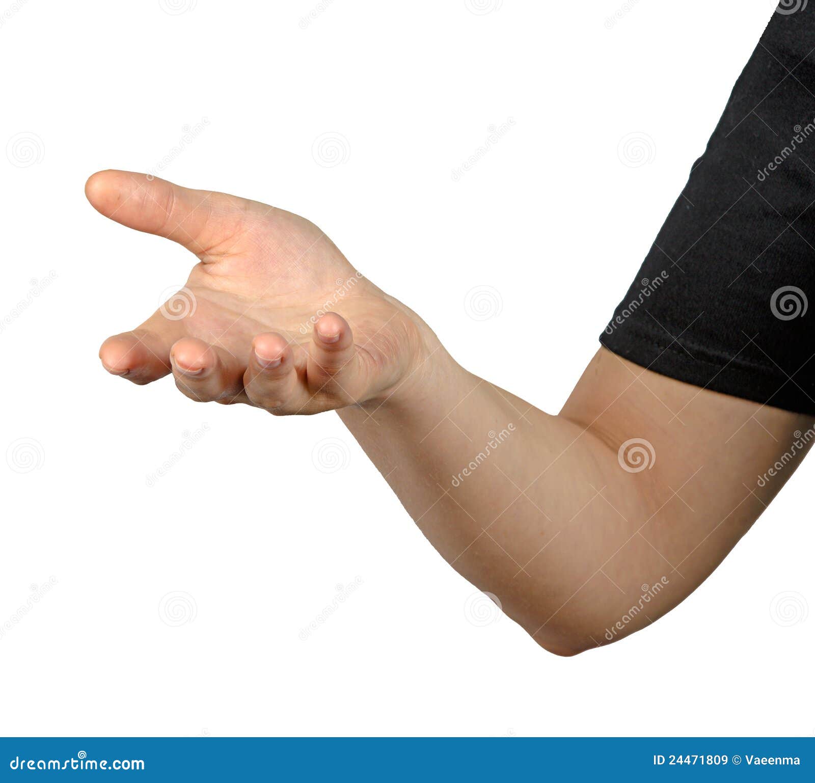 Hand isolated on white stock image. Image of person, closeup - 24471809