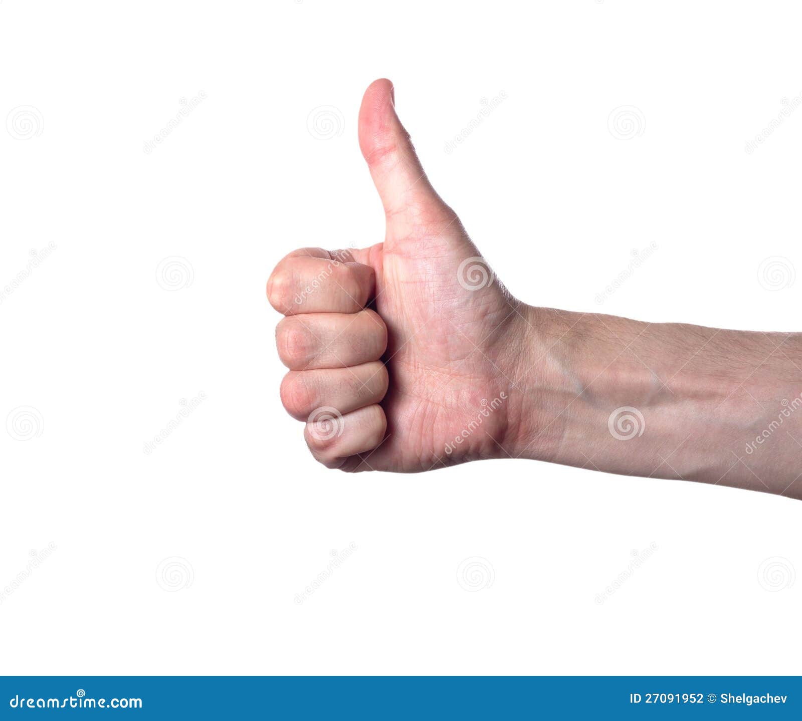 Hand isolated on white stock photo. Image of human, touching - 27091952