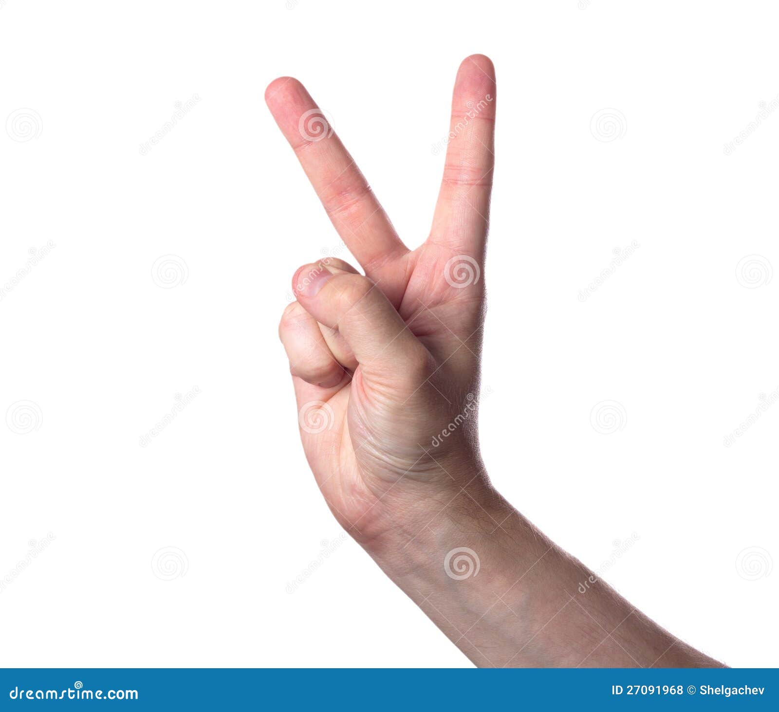 Hand isolated on white stock photo. Image of isolated - 27091968