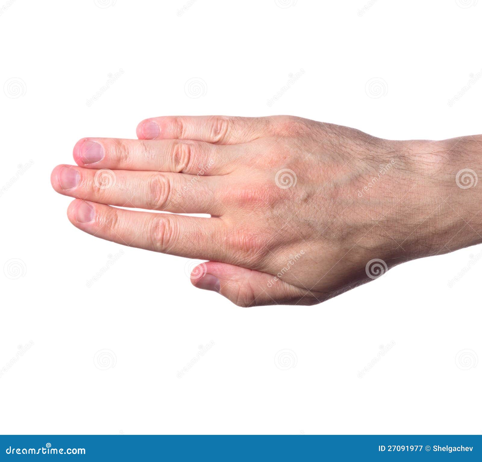 Hand isolated on white stock image. Image of thumb, press - 27091977