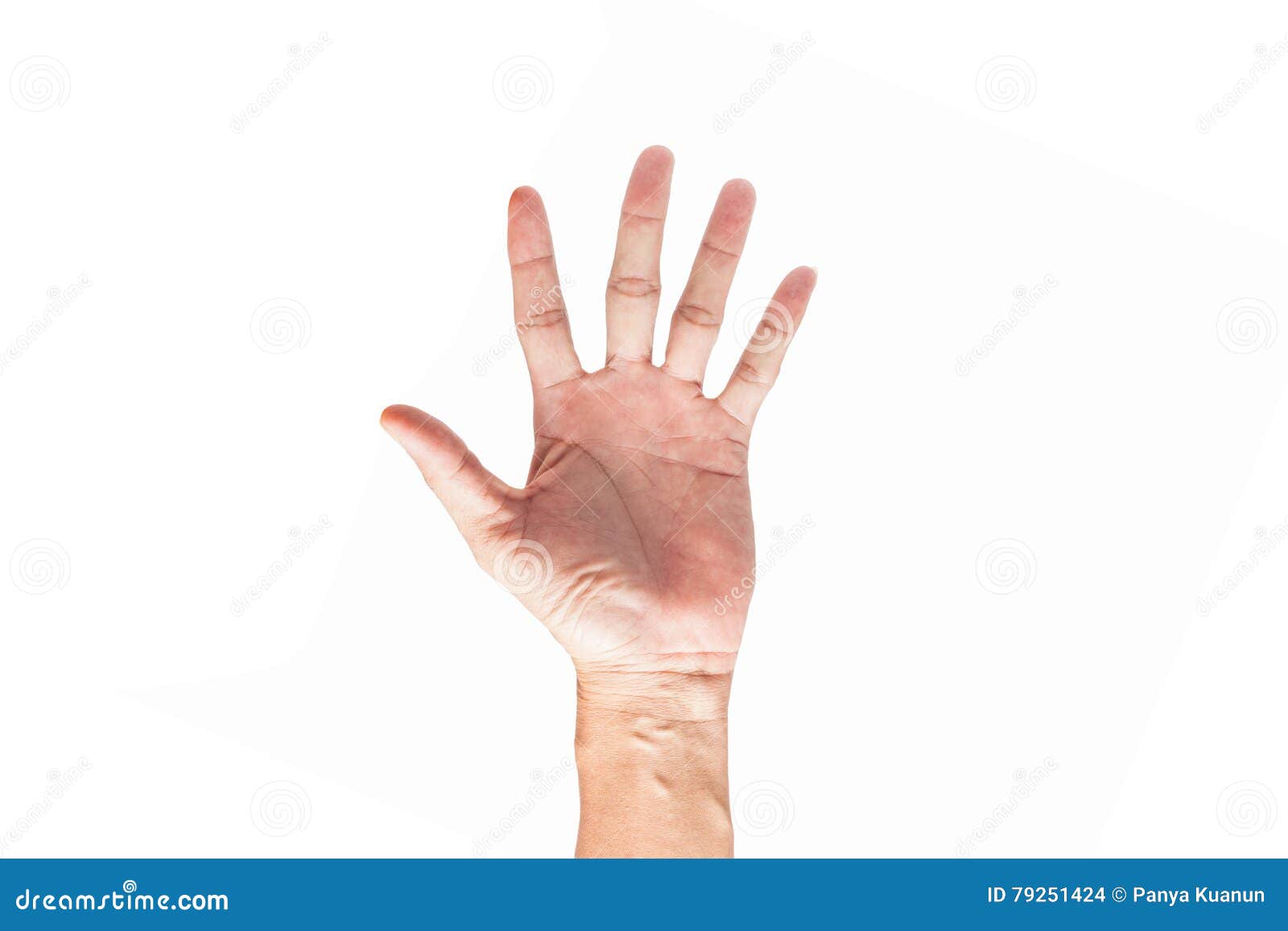 Hand Isolated on White Background. Stock Photo - Image of giving ...