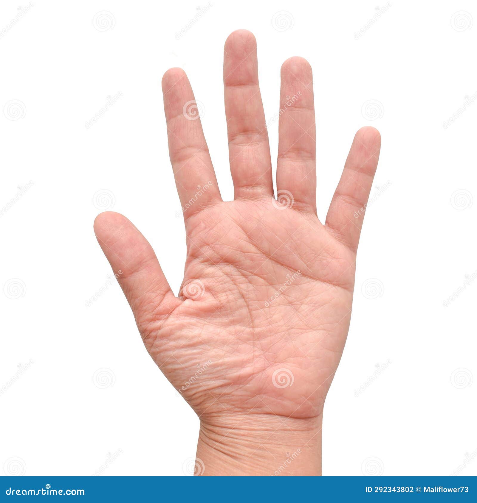 Hand Isolated on White Background. Stock Photo - Image of healthy ...