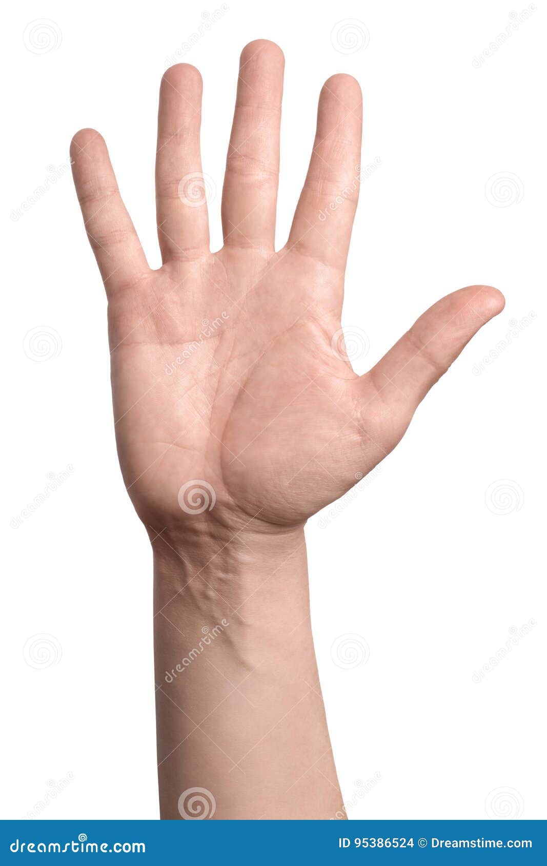 A Hand, Isolated on White Background Stock Photo - Image of five ...