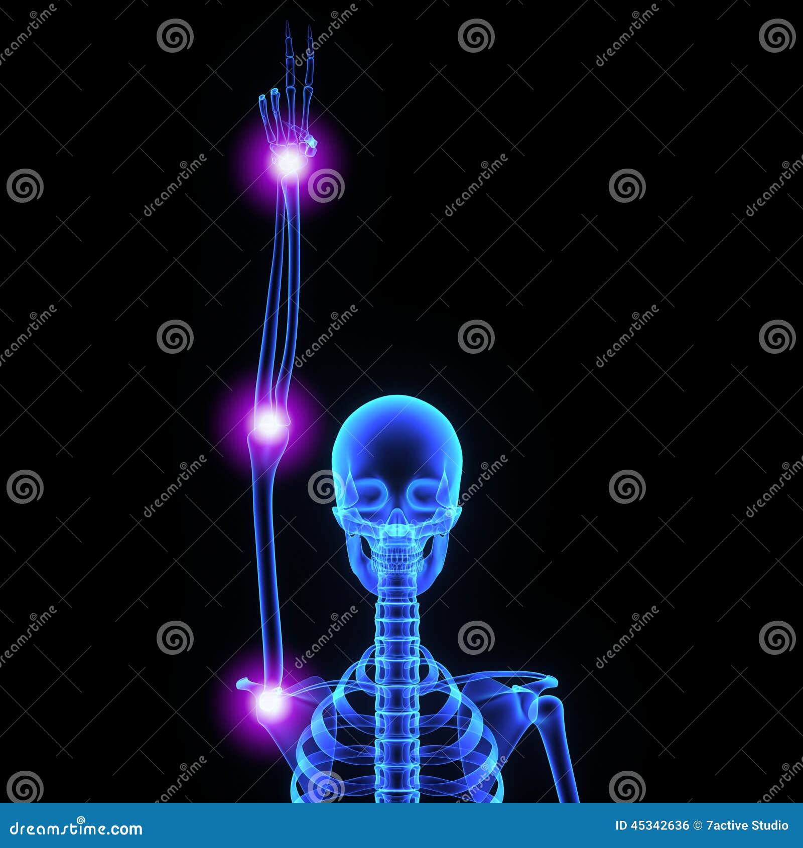 Hand Joints Stock Photo | CartoonDealer.com #45342636