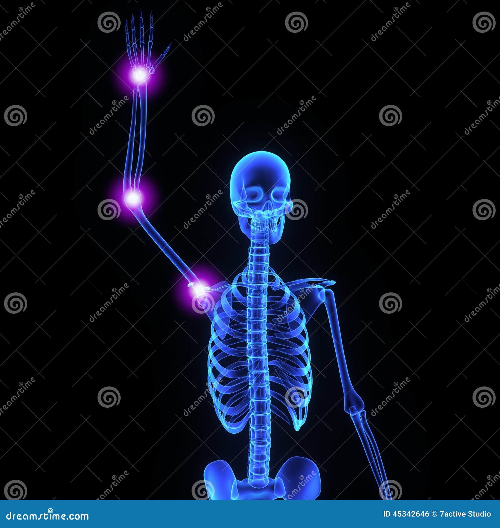 Hand Joints Stock Photography | CartoonDealer.com #49323338