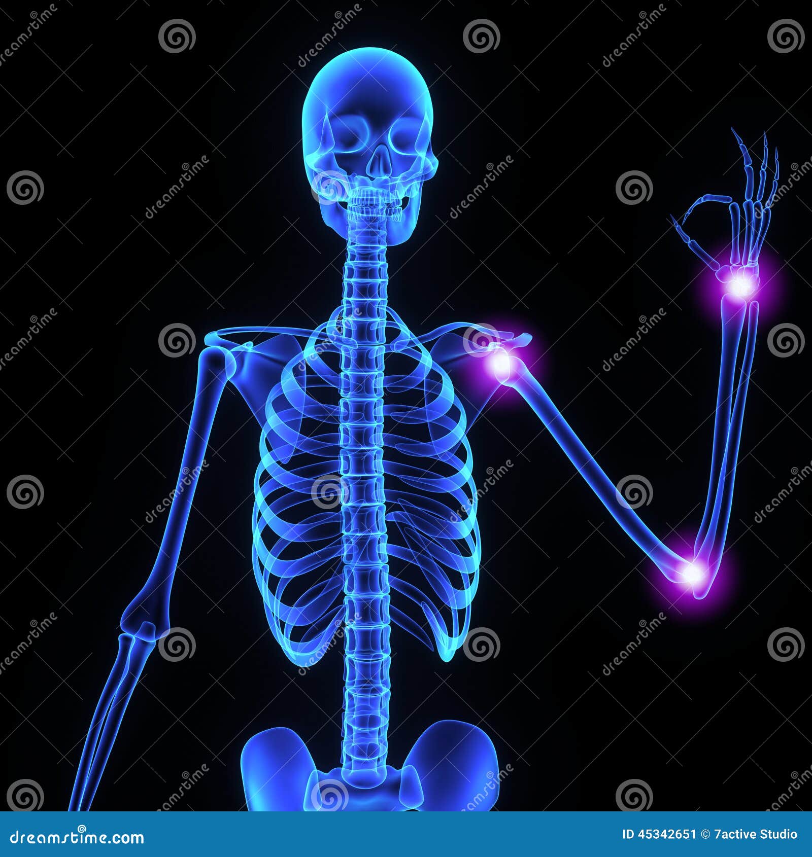 Hand Joints Stock Photo | CartoonDealer.com #45342636