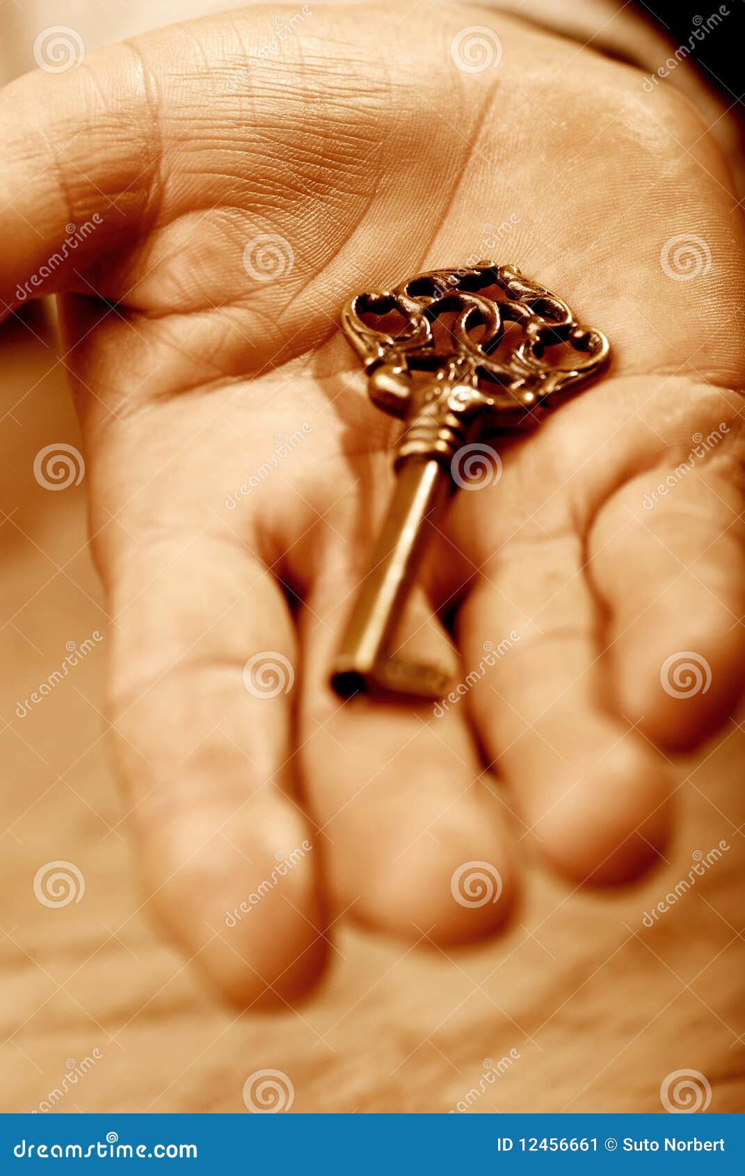 Hand with key stock image. Image of sales, business, female - 12456661