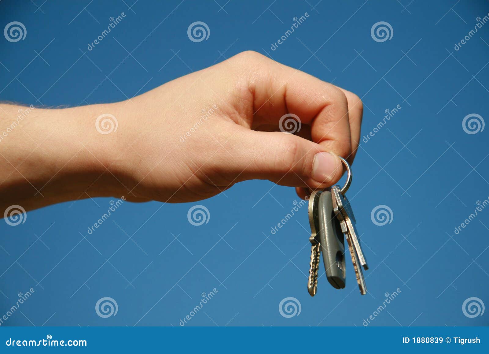 Hand with the keys stock image. Image of give, appartment - 1880839