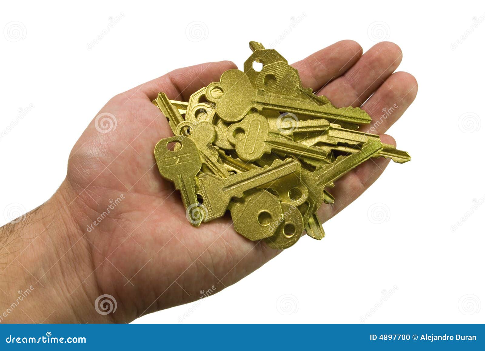 Hand and keys I stock photo. Image of home, businessman - 4897700