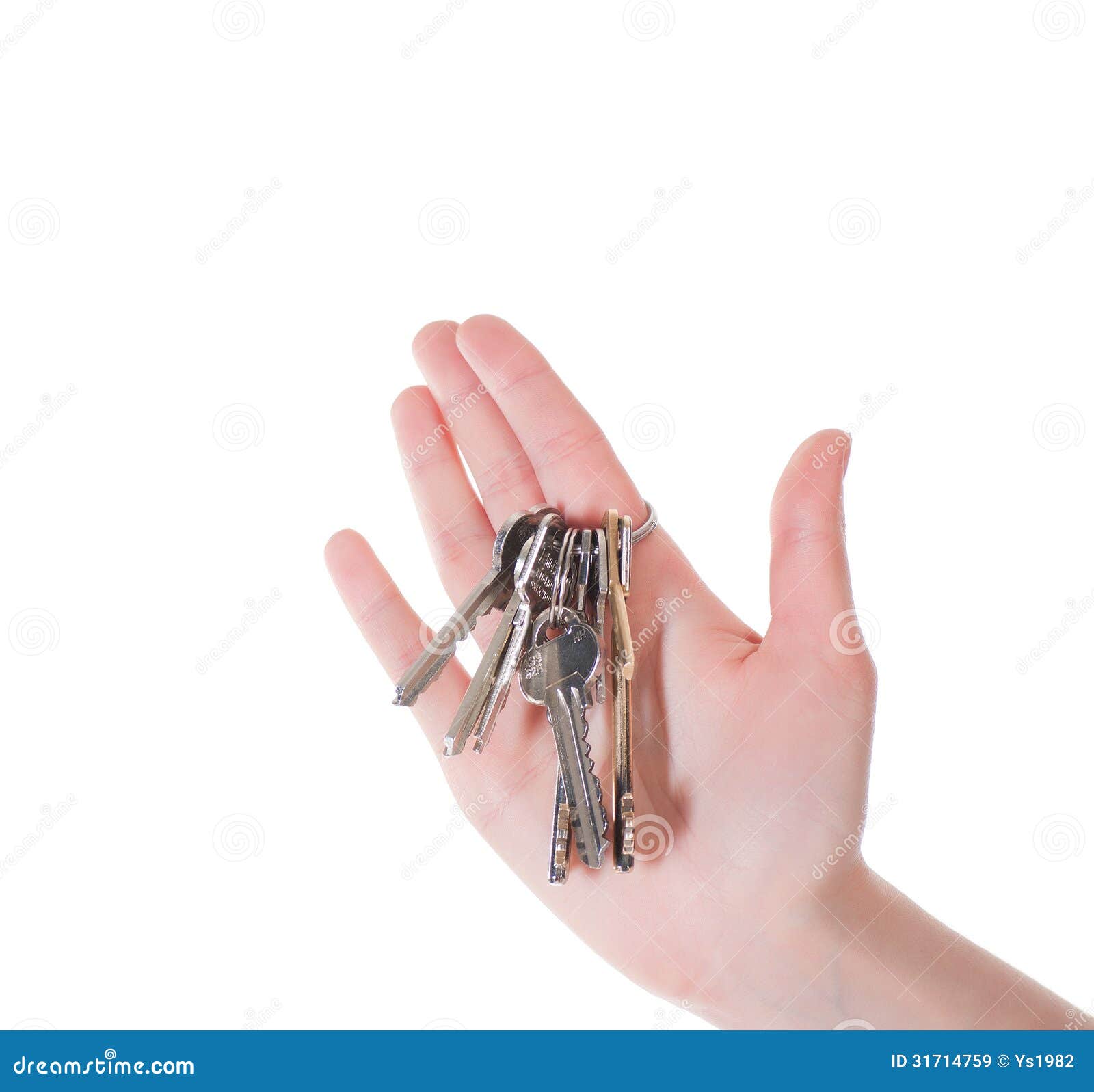Hand with Keys Isolated on White Stock Image - Image of finger, human ...