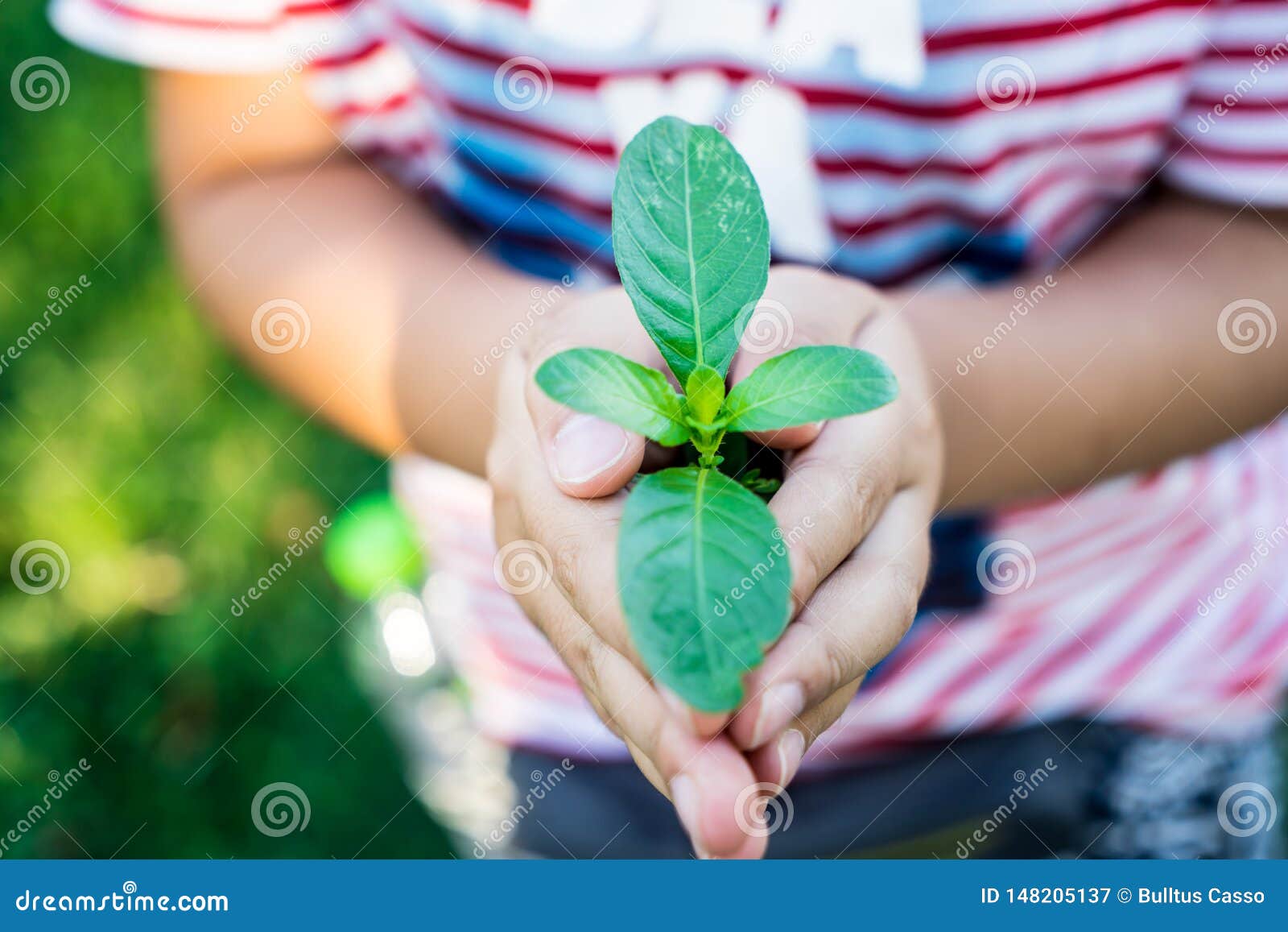 Hand Kid Hold Trees in Environment Concept Stock Image - Image of ...