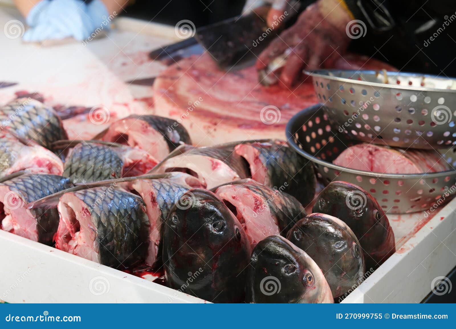 Hand Kill and Process Black Carp Fish Stock Image - Image of knife ...