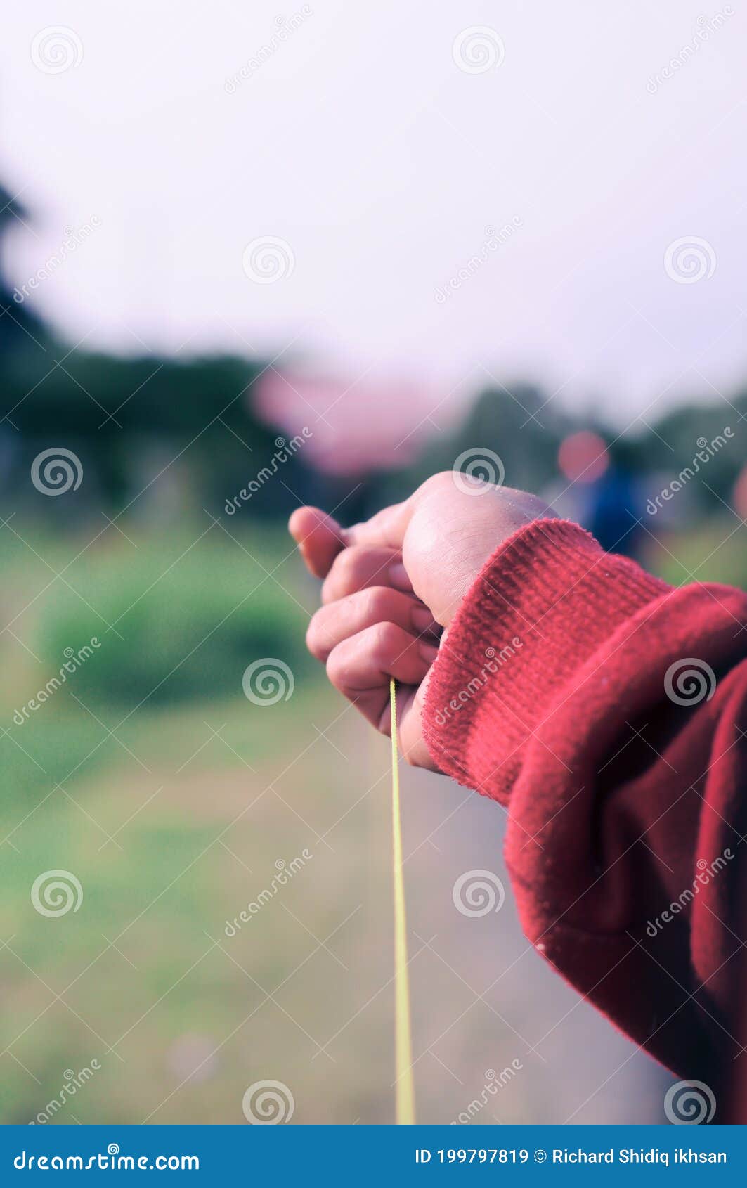 The hand of a kite stock image. Image of branches, hand - 199797819