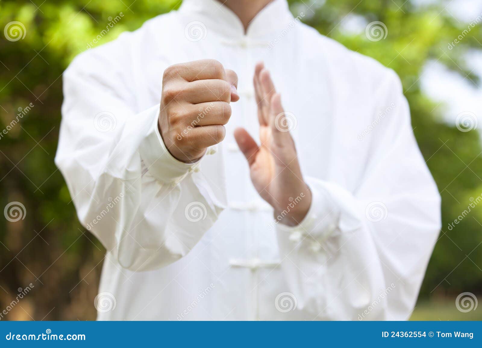 Hand of kung fu stock photo. Image of outdoors, master - 24362554