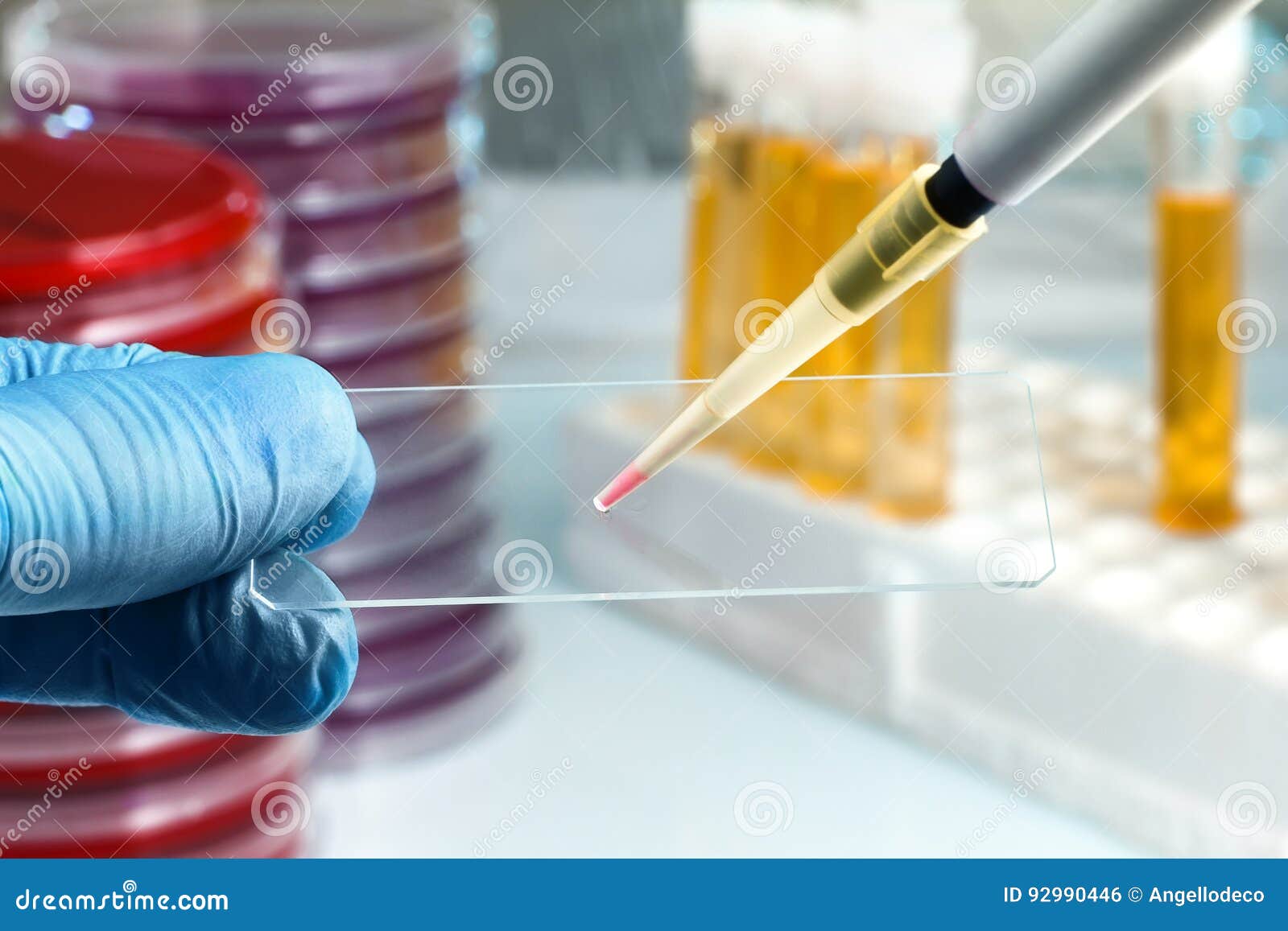 Hand of the Lab Technician Holding a Slide and Depositing a Sample ...