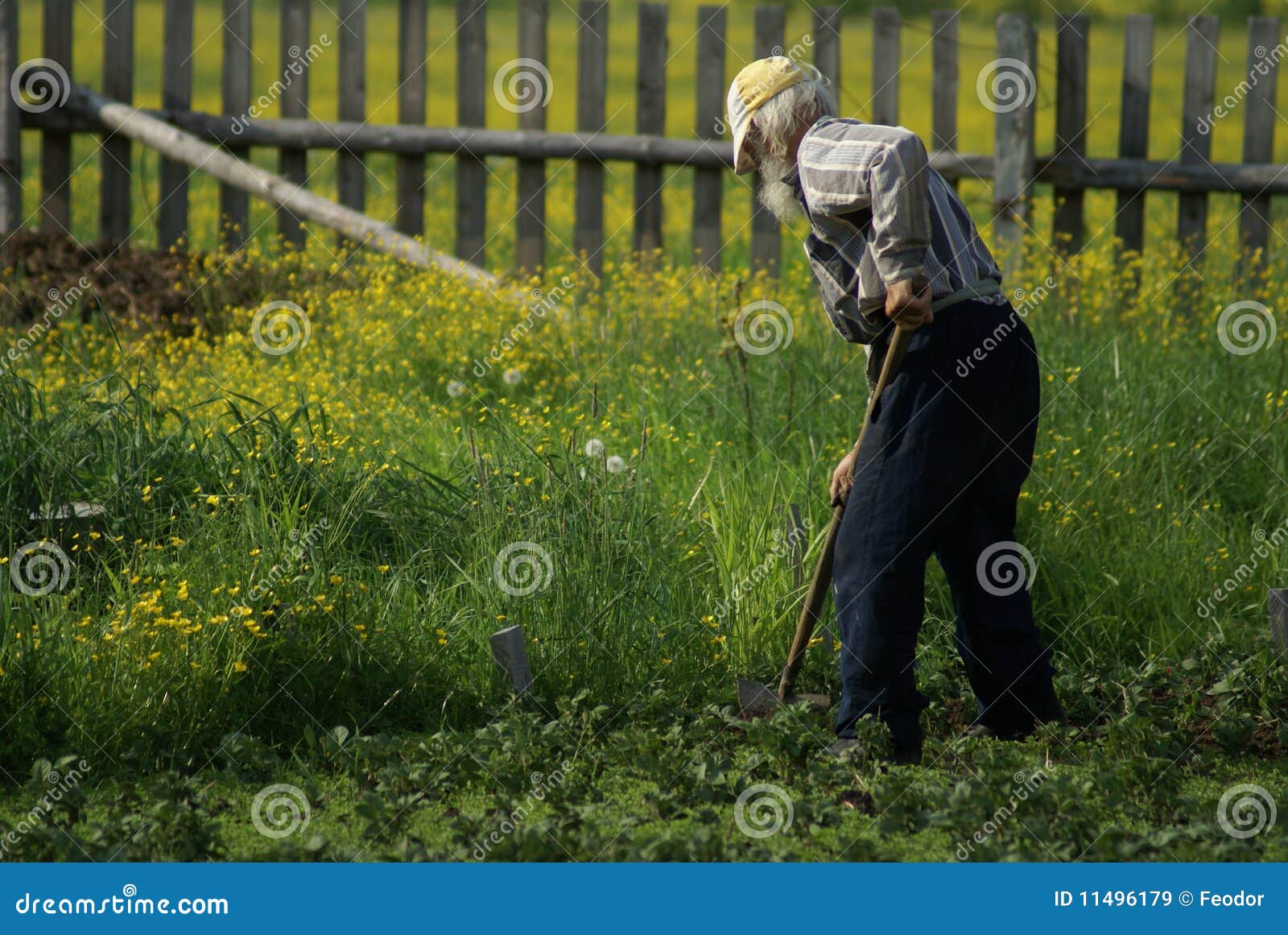 Hand labour stock image. Image of farmer, ground, footpath - 11496179