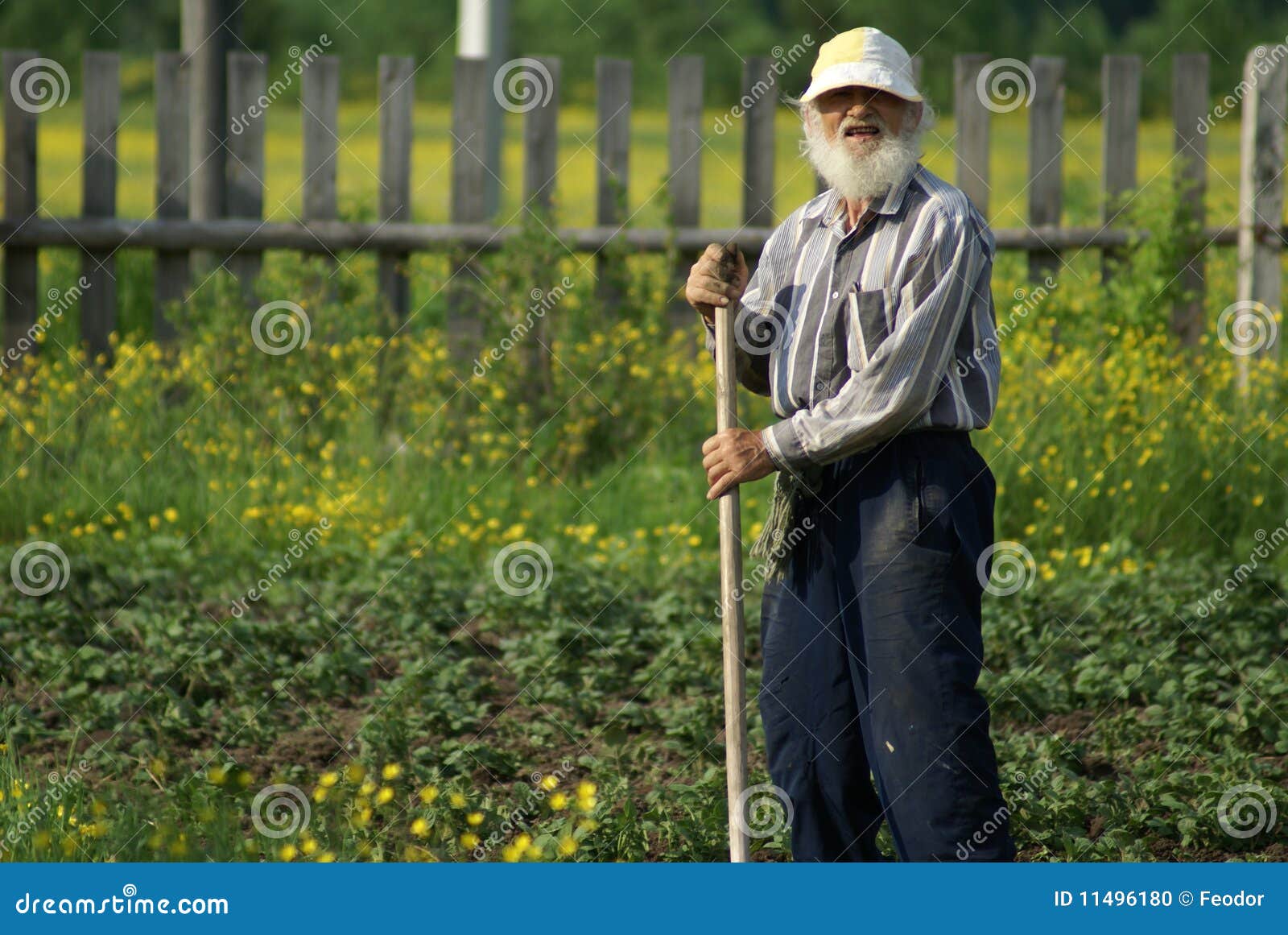 Hand labour stock photo. Image of harvest, food, bread - 11496180