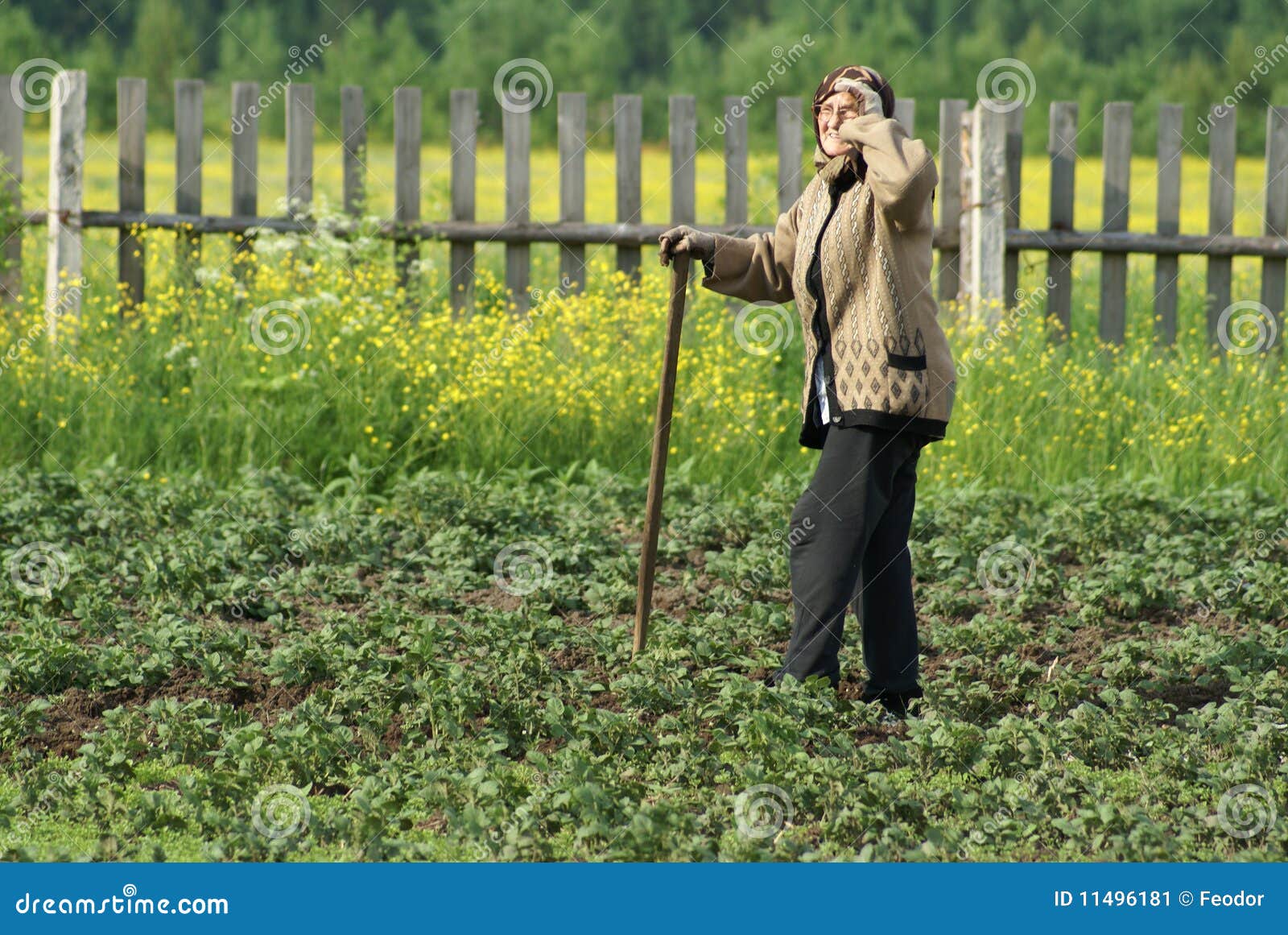 Hand labour stock image. Image of land, health, harvest - 11496181